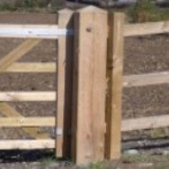 6x6 Post - Pressure Treated Timber Post - Oakdale Fencing